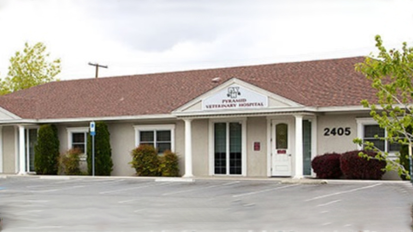 Careers - Pyramid Veterinary Hospital