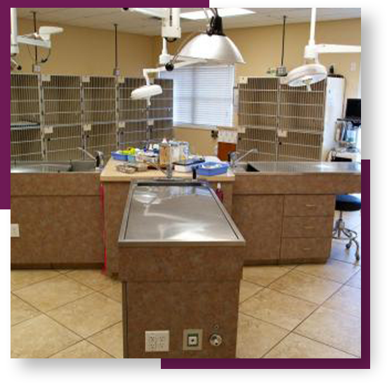 Take a Tour - Pyramid Veterinary Hospital