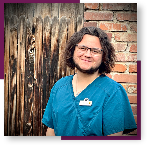 Meet the Team - Pyramid Veterinary Hospital