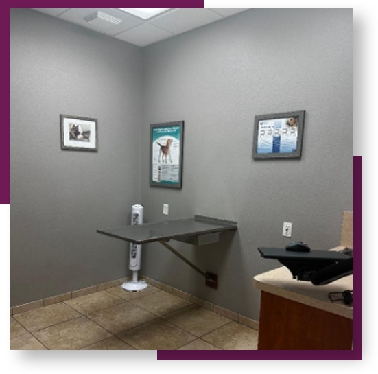 Take a Tour - Pyramid Veterinary Hospital