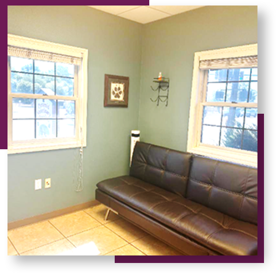 Take a Tour - Pyramid Veterinary Hospital