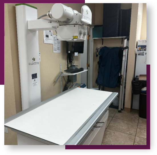 Take a Tour - Pyramid Veterinary Hospital