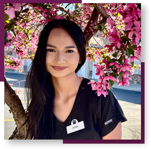 Meet the Team - Pyramid Veterinary Hospital